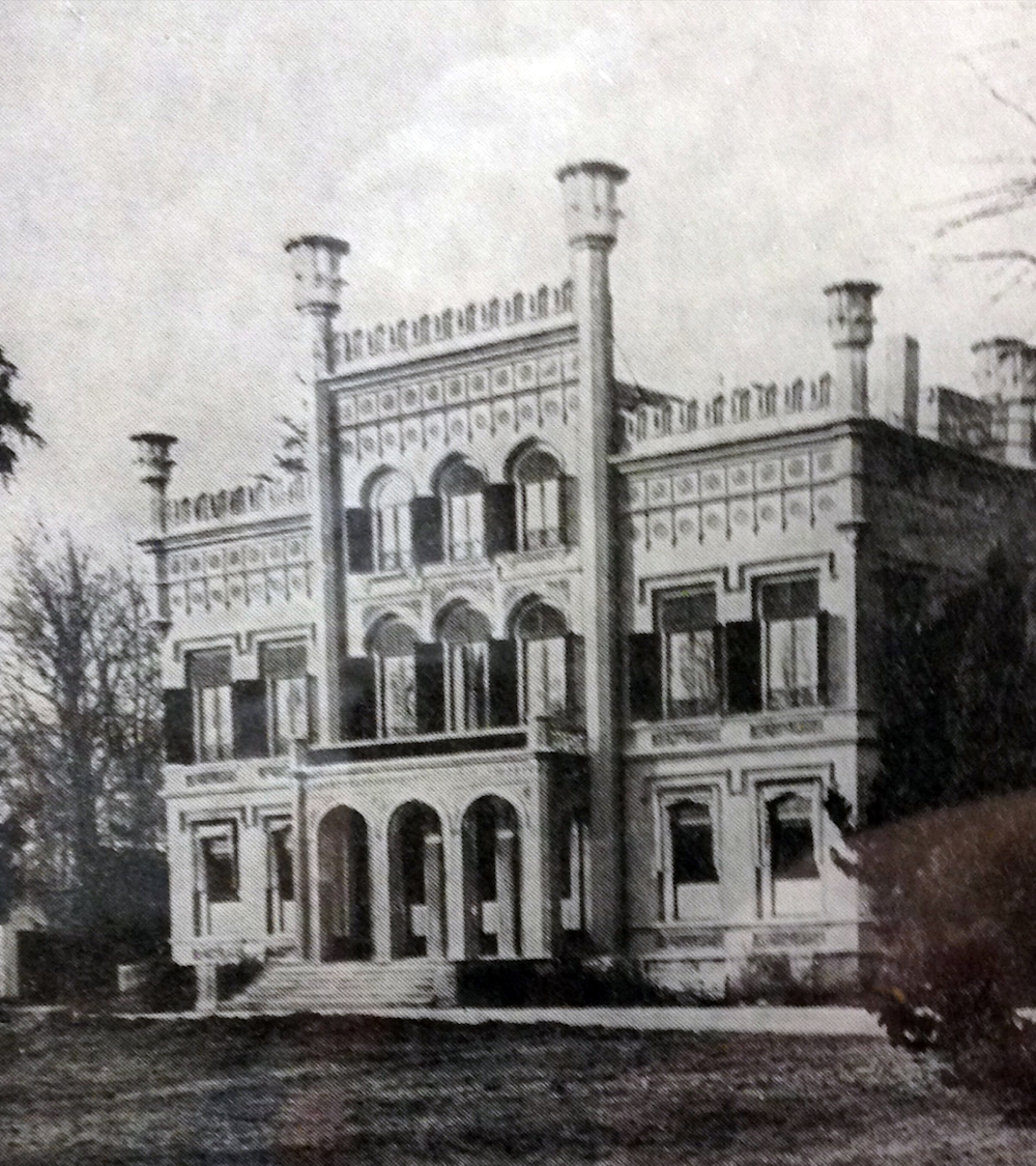 Van Zadelhoff Veilingen